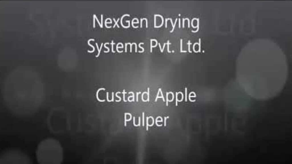 Custard Apple Pulper Machine Manufacturer in Pune, India | Nexgen